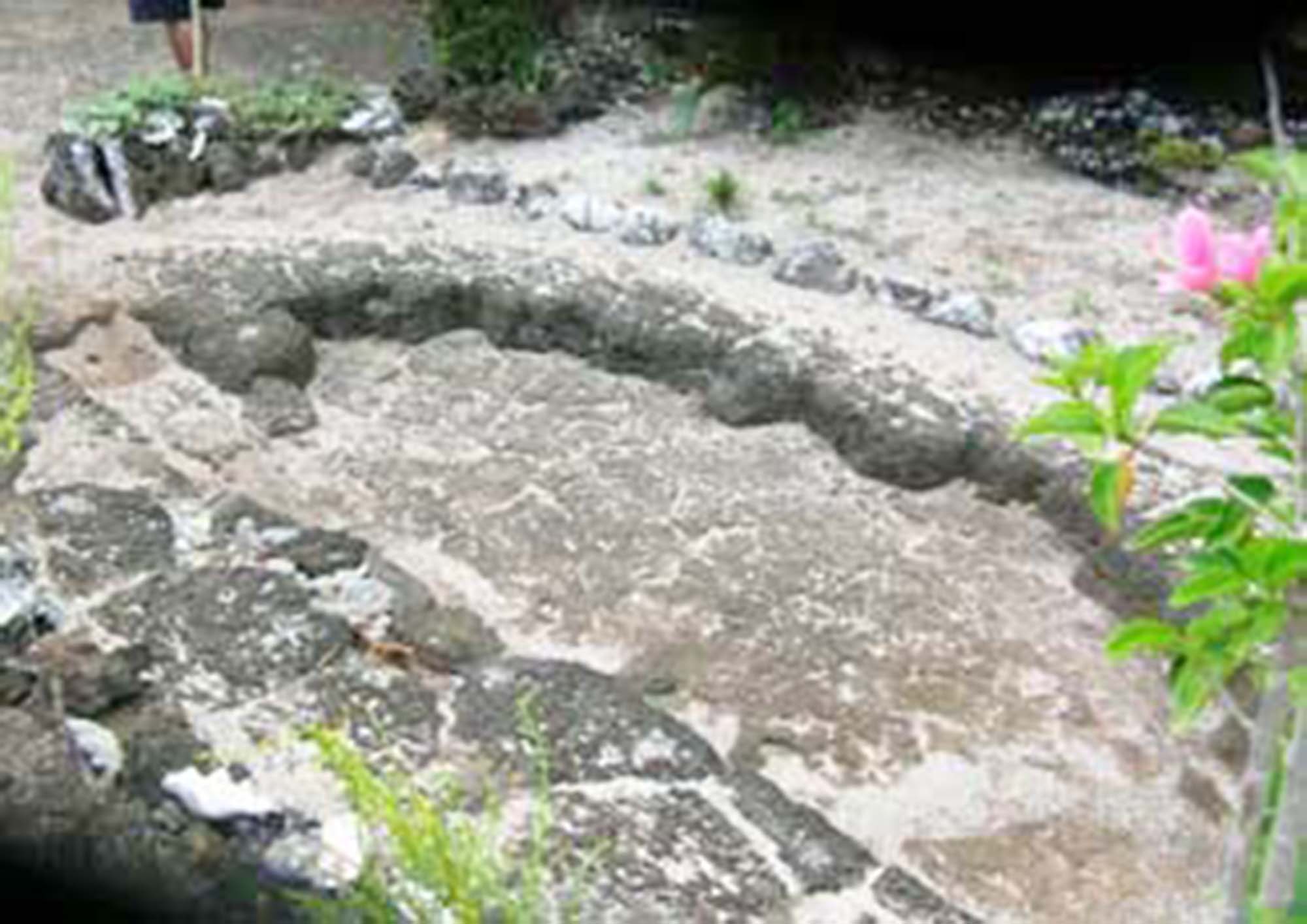 Samoa Observer | Talatu’u ma Tala o le Vavau a Samoa